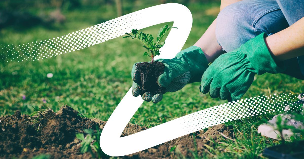 Cultivating Skills: Secrets of high-performing L&D teams